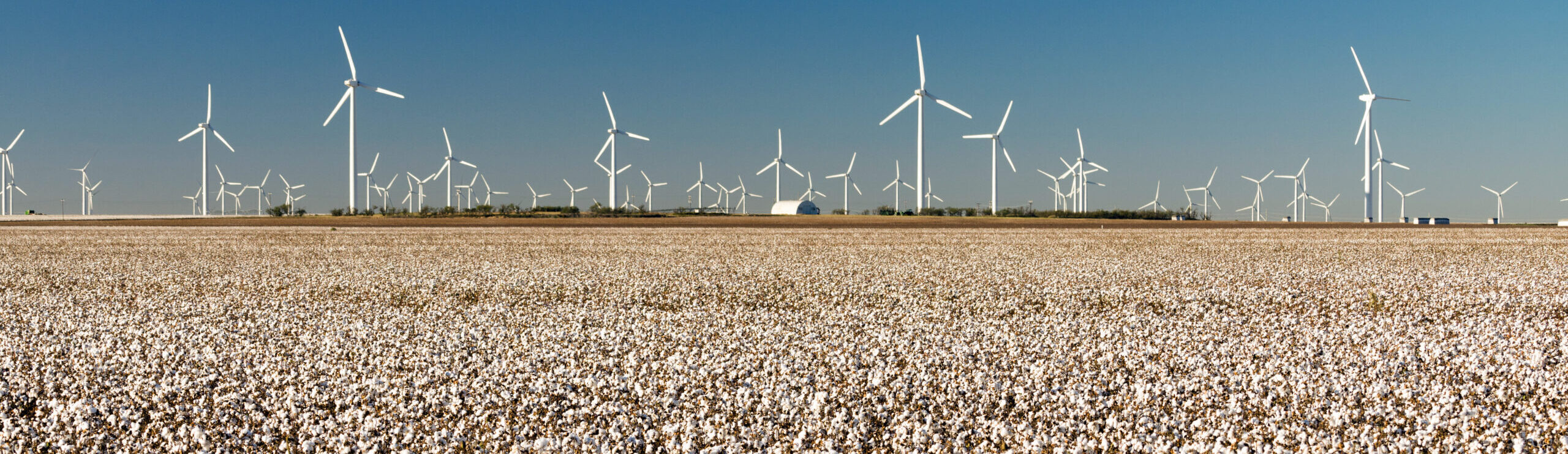 Lone Star State: Get to know the Texas Panhandle - Texas 2036