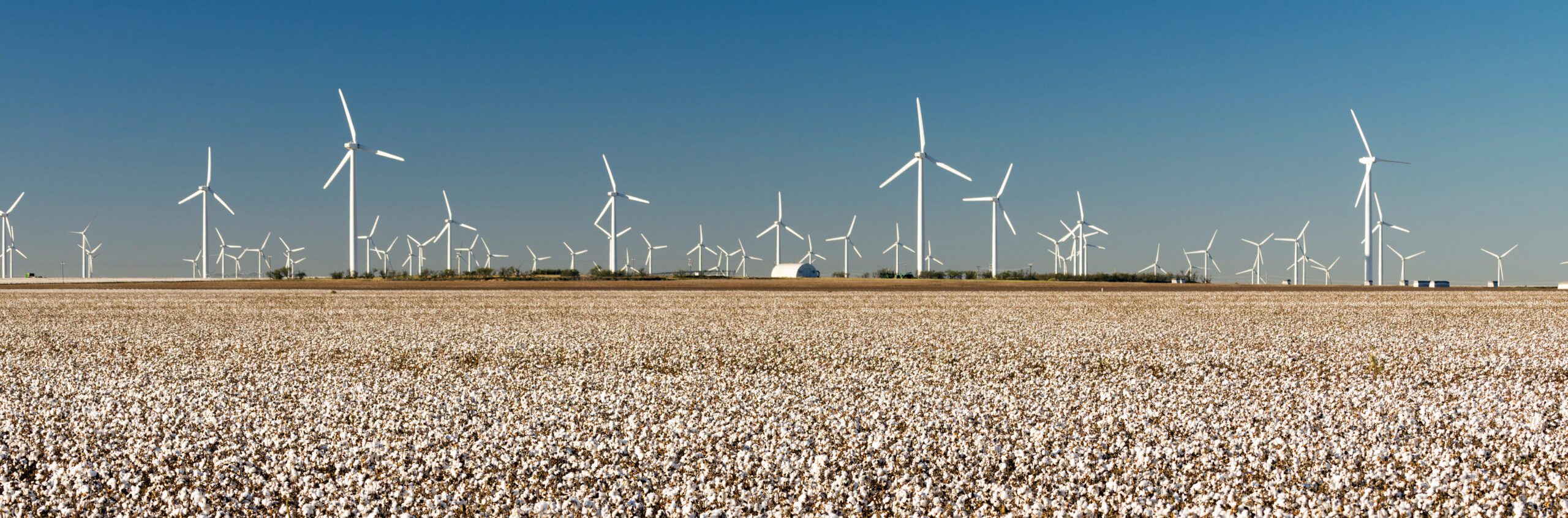 Lone Star State: Get to know the Texas Panhandle - Texas 2036