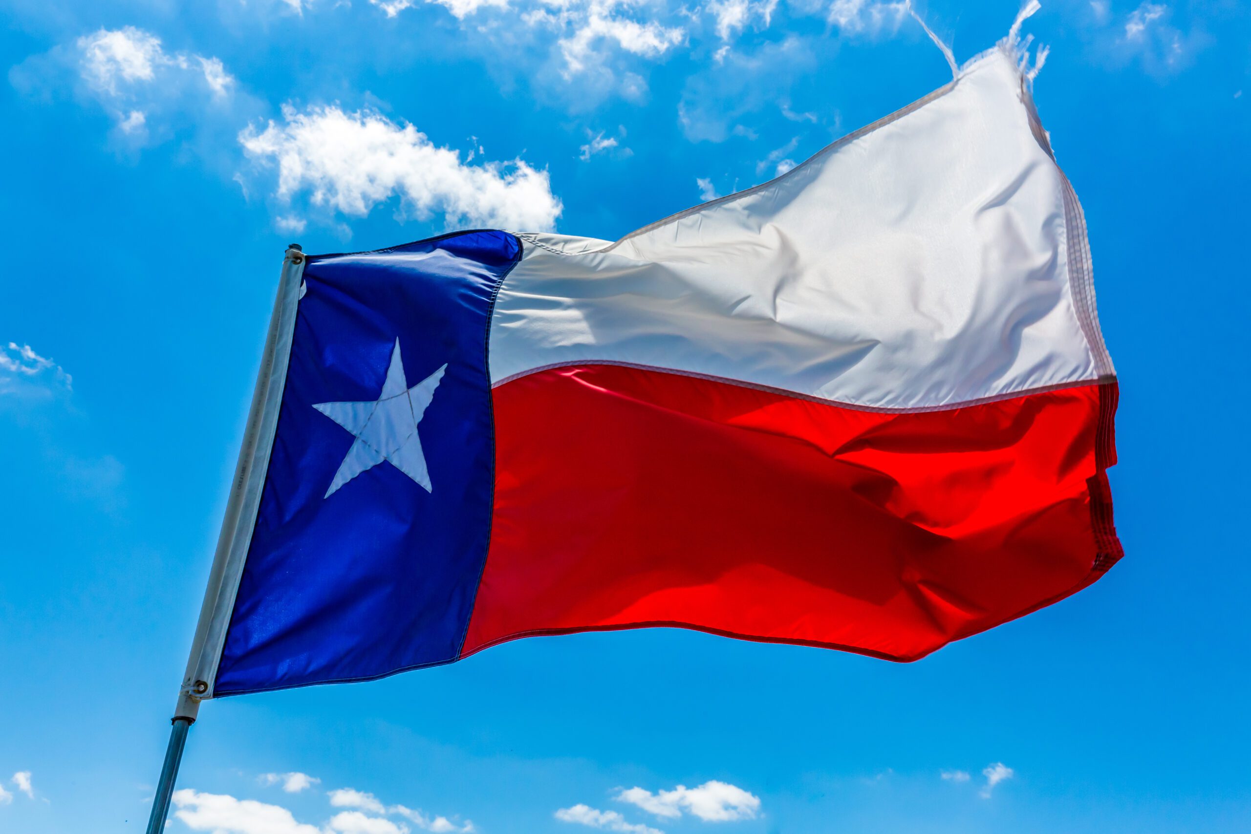 New poll shows Texas' future is top of mind for voters - Texas 2036