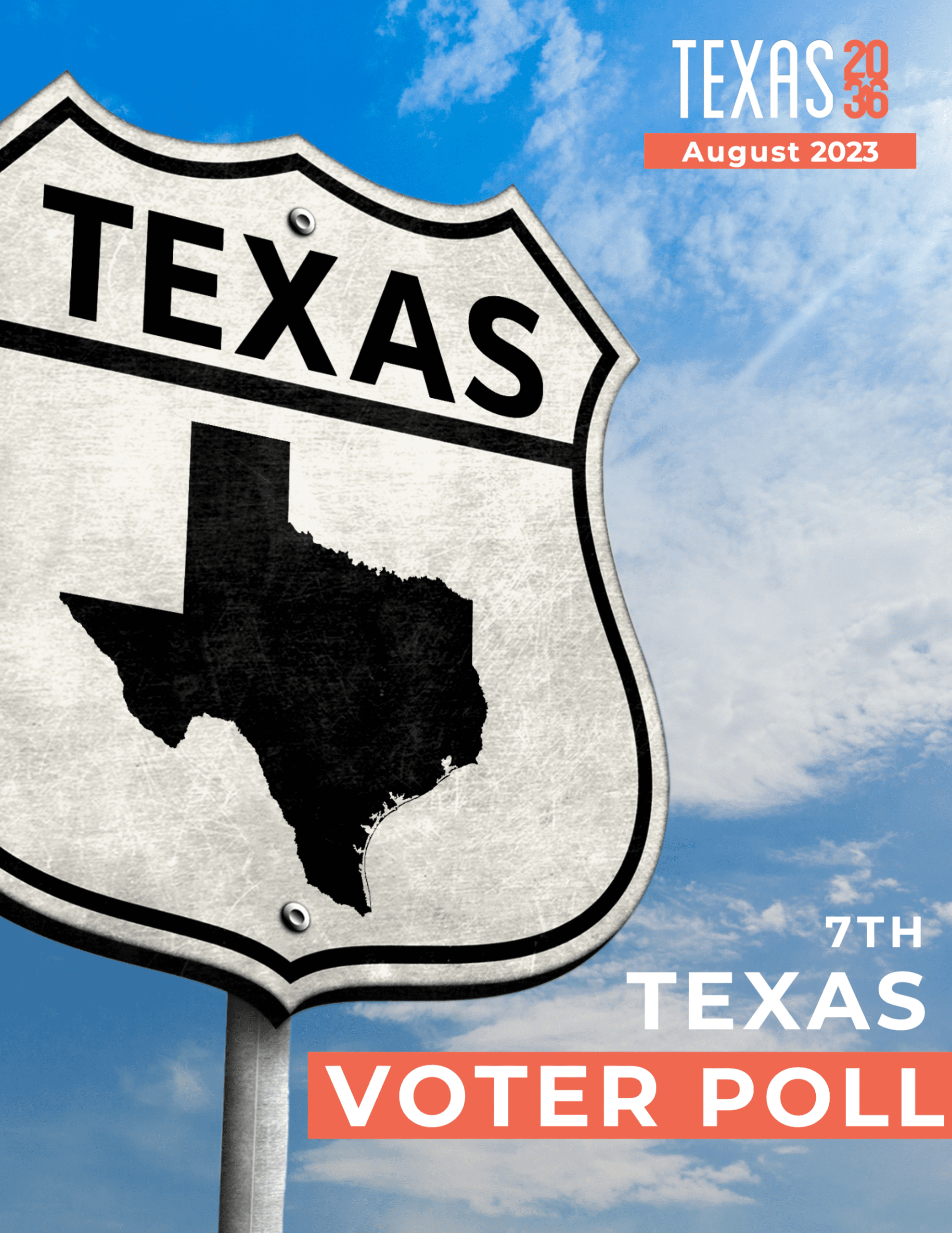 Texas Voter Poll - Texas 2036