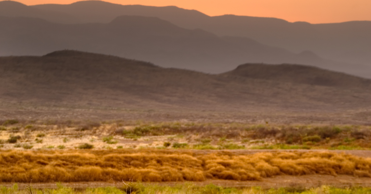 Extreme heat remains on track to become Texas’ new normal - Texas 2036