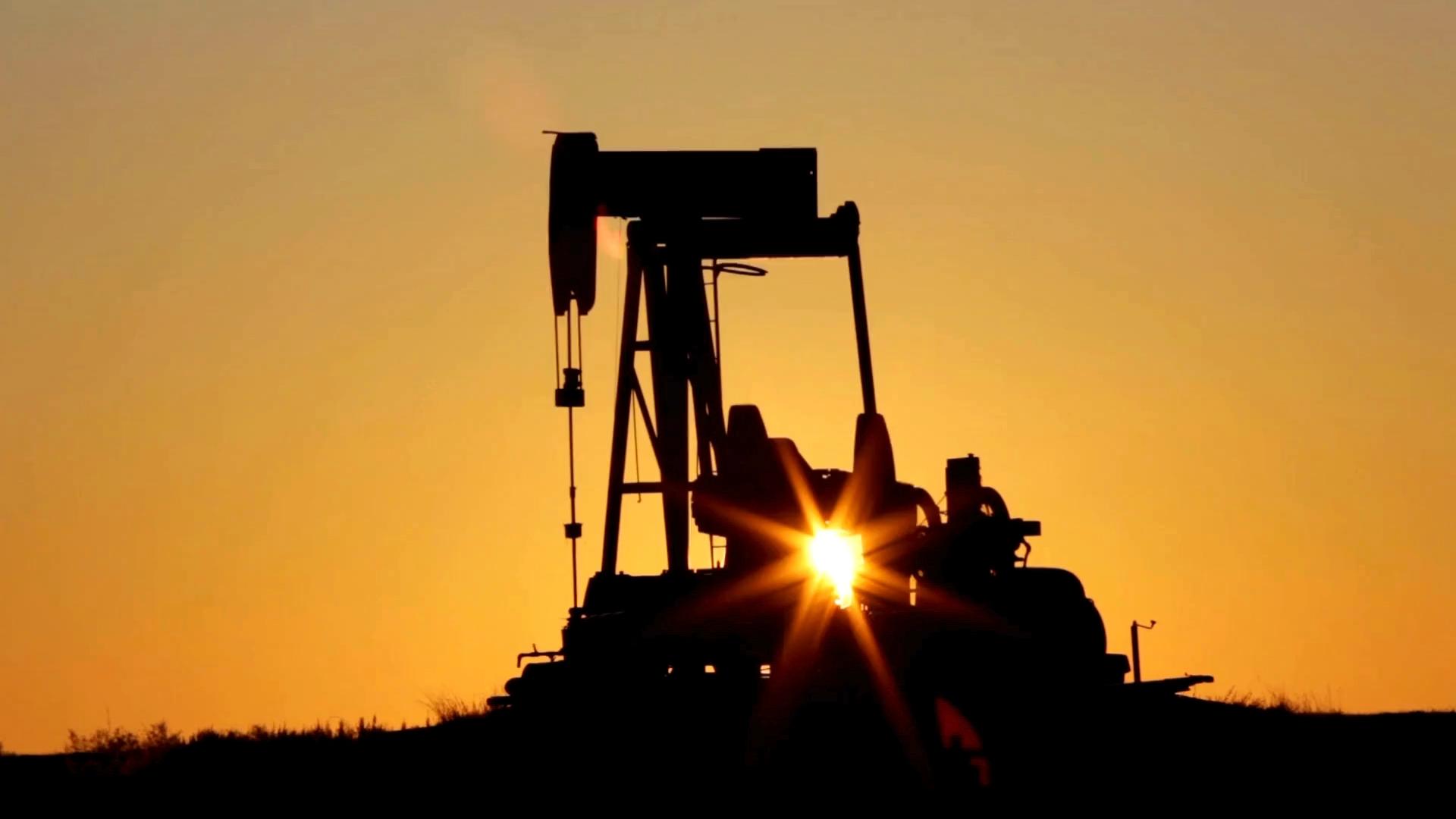 Home - Texas 2036 - In 2036, Texas turns 200, but where will Texas be?